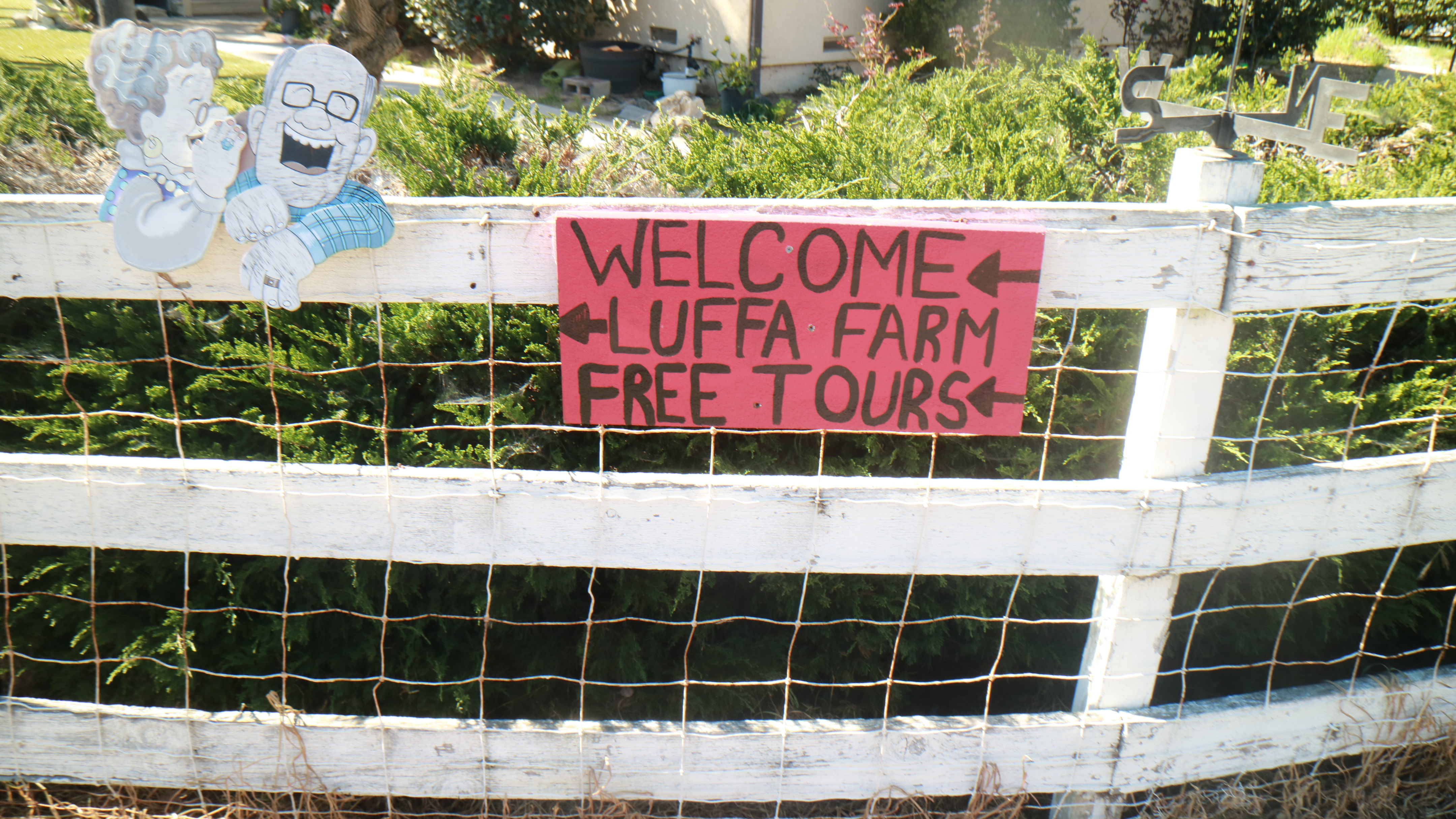 THE LUFFA FARM – THINGS TO EXPLORE IN SOCAL | Goldilonglocks